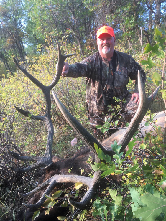 TROPHY ELK HUNTS | Twisted Tine Outfitters | Your Western Colorado ...