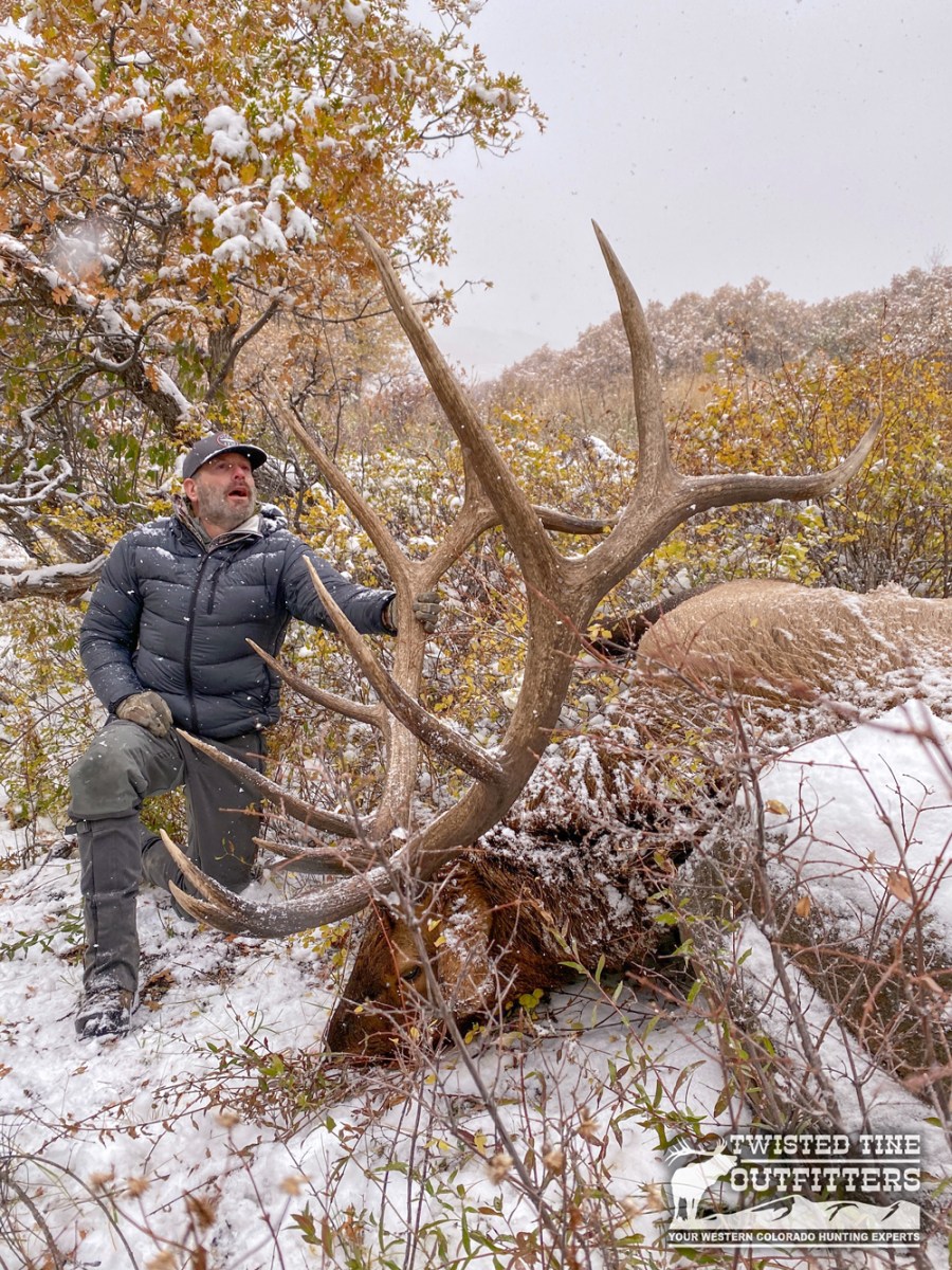 TROPHY ELK HUNTS | Twisted Tine Outfitters | Your Western Colorado ...