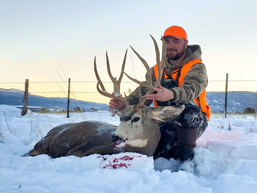 MULE DEER HUNTS | Twisted Tine Outfitters | Your Western Colorado ...