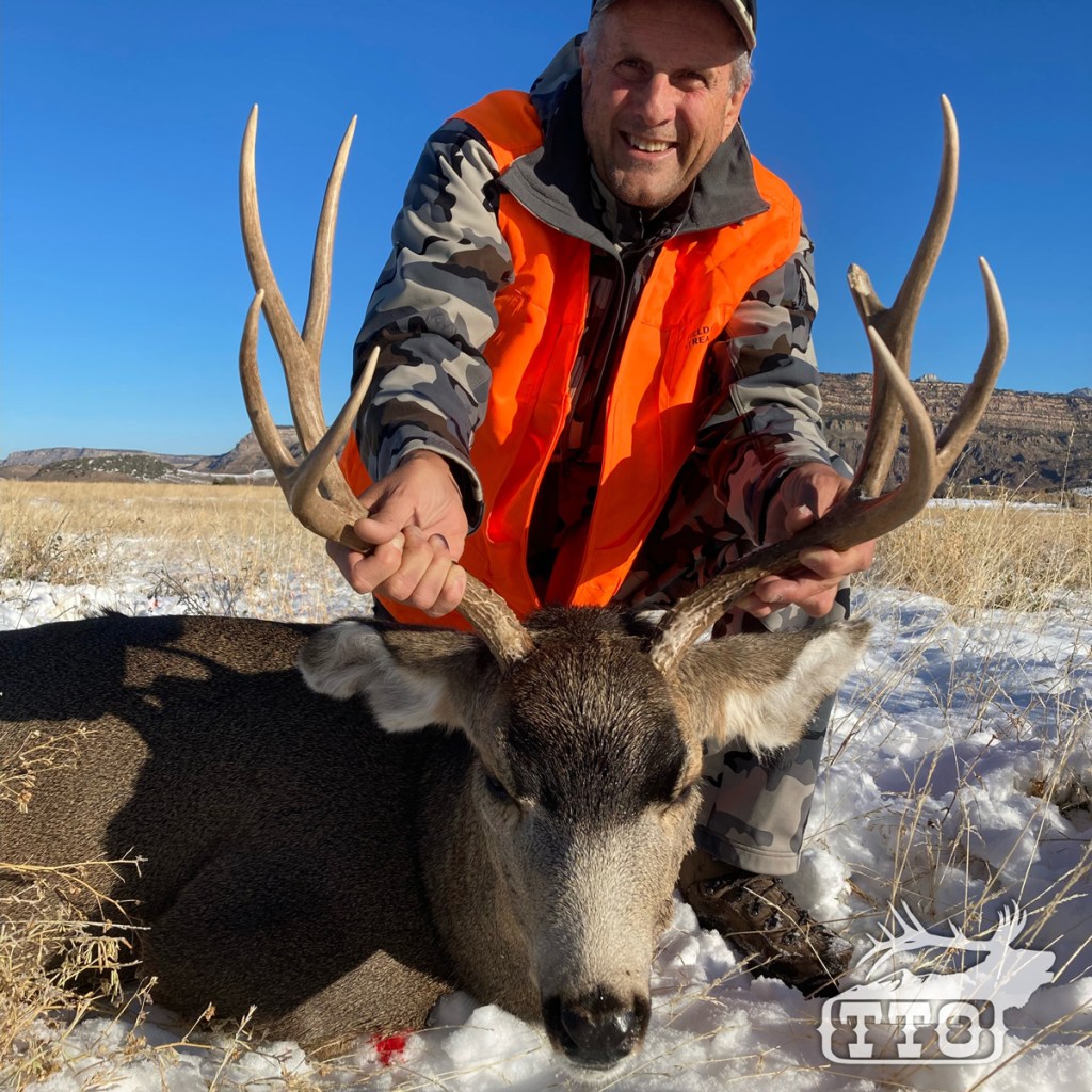 MULE DEER HUNTS | Twisted Tine Outfitters | Your Western Colorado ...