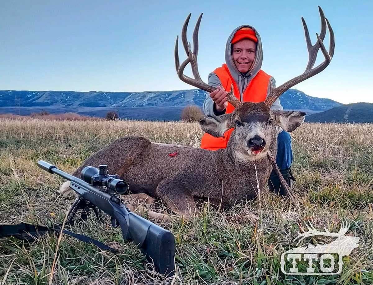 MULE DEER HUNTS | Twisted Tine Outfitters | Your Western Colorado ...