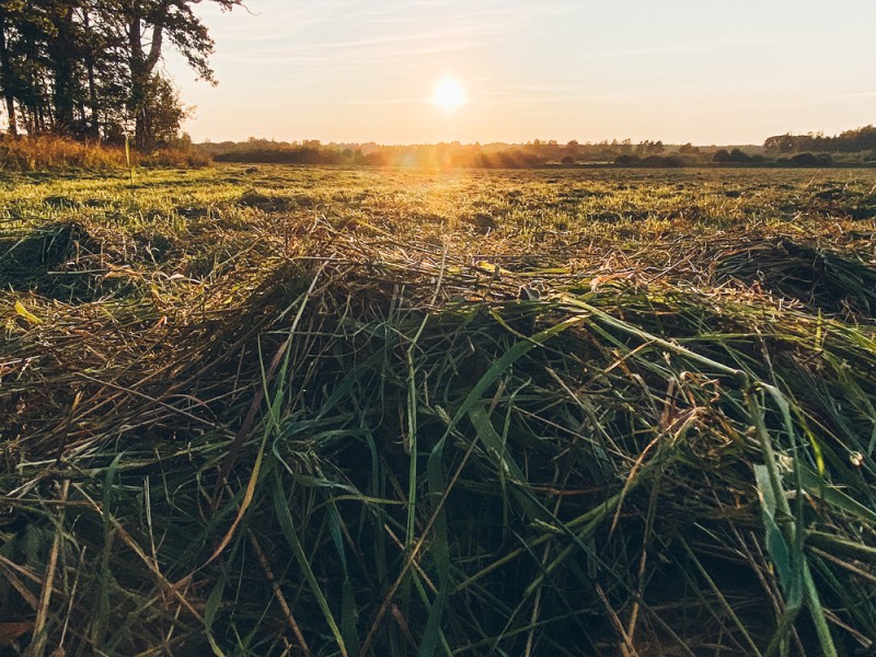 MULE DEER HUNTS | Twisted Tine Outfitters | Your Western Colorado ...