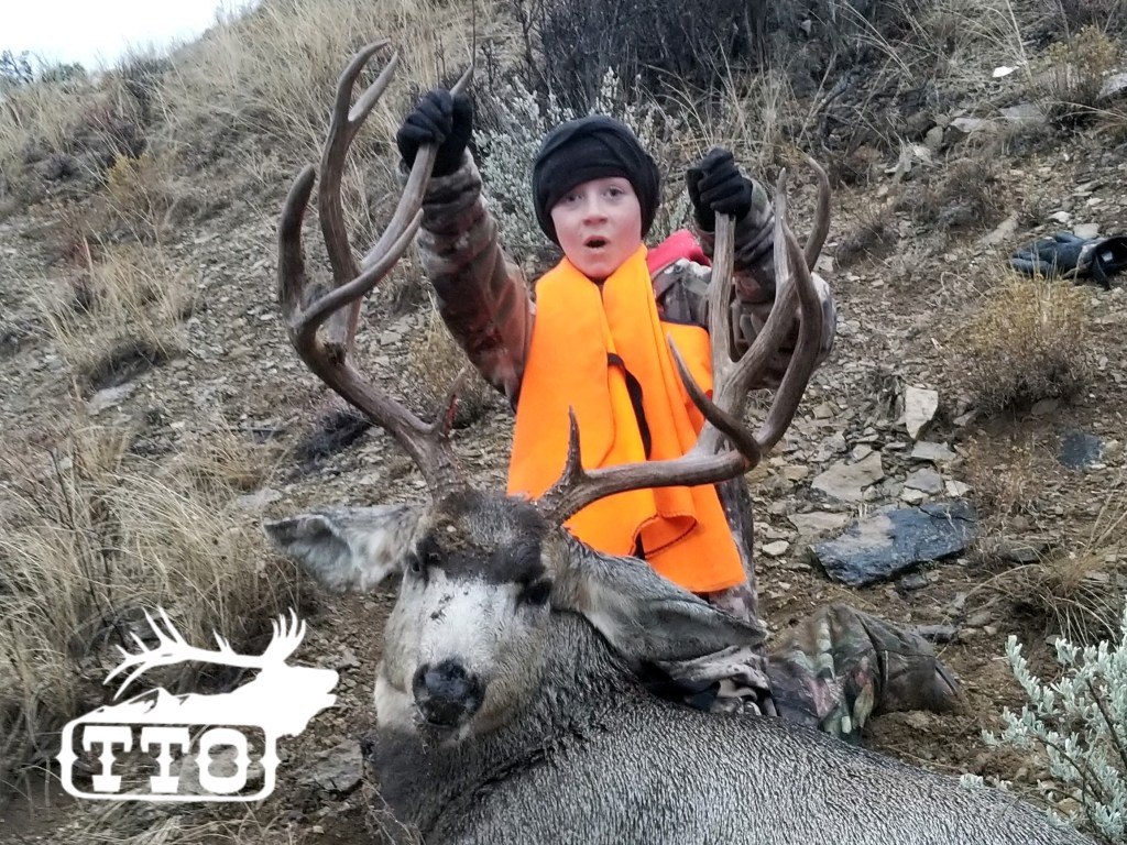 MULE DEER HUNTS | Twisted Tine Outfitters | Your Western Colorado ...