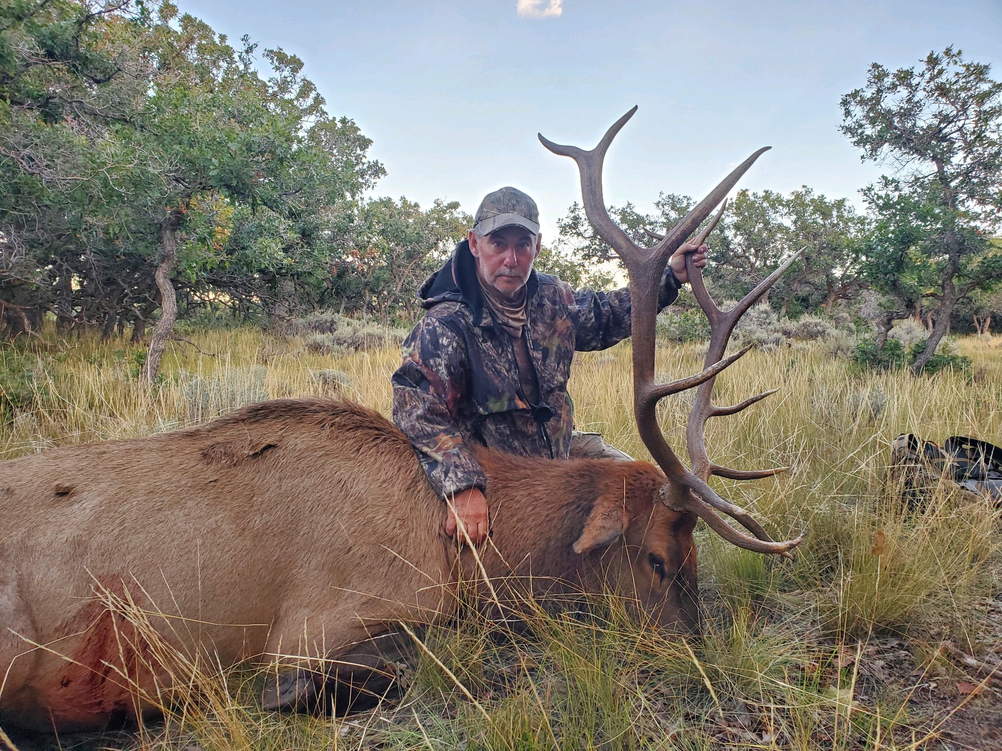 GALLERY | Twisted Tine Outfitters | Your Western Colorado Hunting Experts